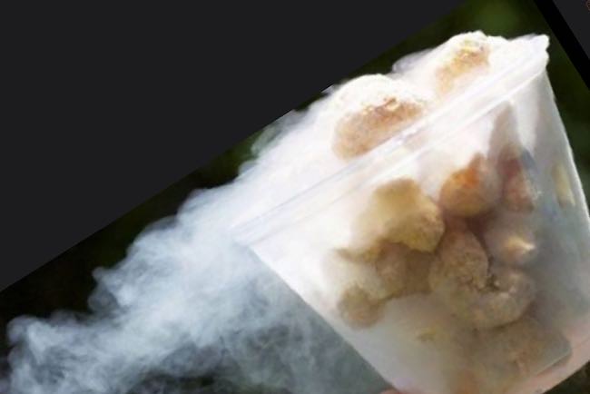 Waspada Bahaya Ciki Ngebul, Ini Deretan Korban yang Terkena Racun ...