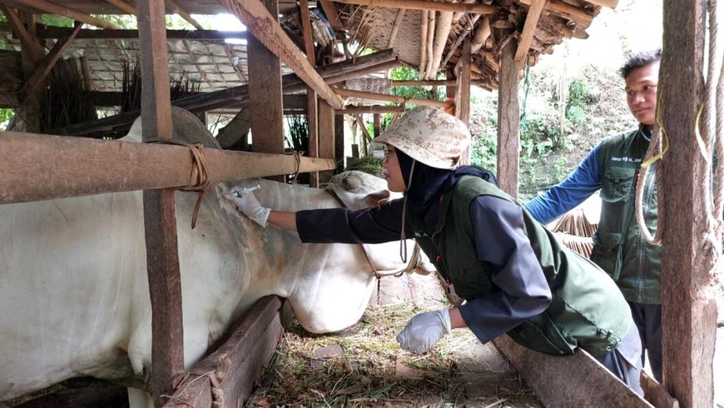 Opsigo Hadirkan Solusi Digital untuk Efisiensi dan Transparansi ...