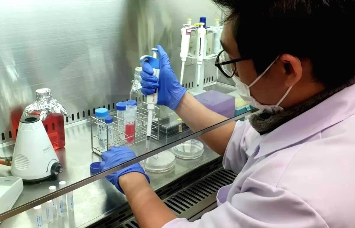 Beasiswa LPDP STEM Industri Strategis: Cek Syarat, Jurusan, dan ...