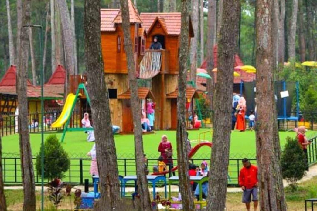 Jelajahi Kemit Forest Cilacap, Wisata Alam di Hutan Pinus dengan ...