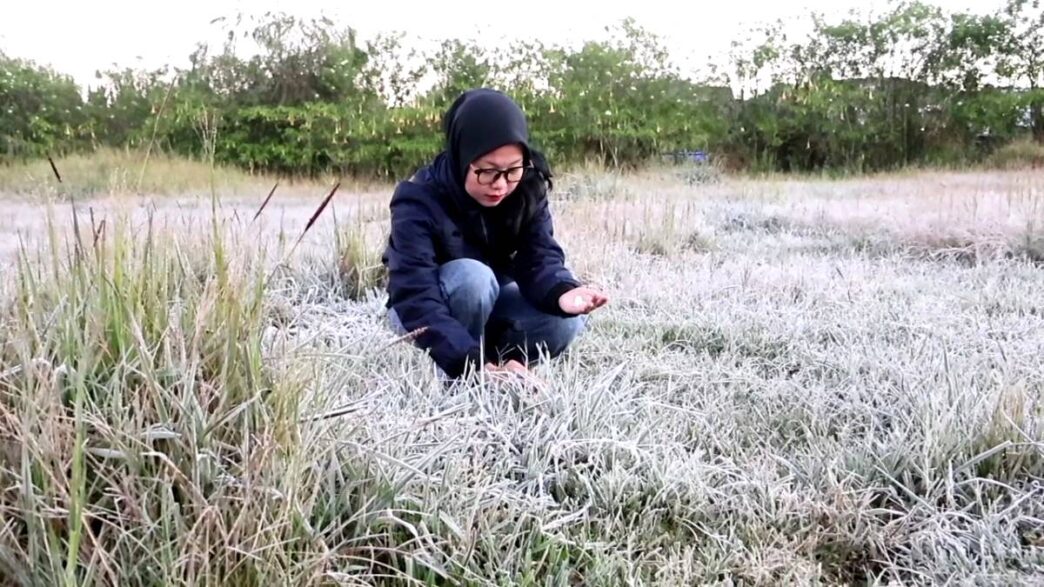 Embun Upas Kembali Muncul di Dieng, Suhu Capai Minus 1 Derajat Celsius ...